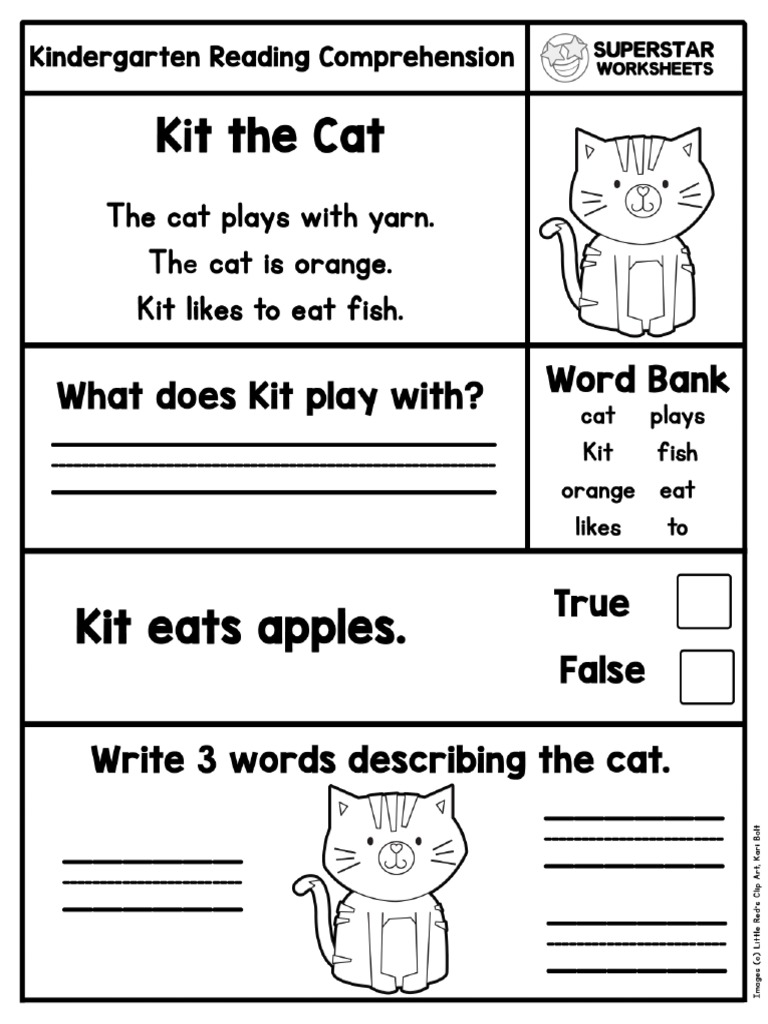 Kindergarten Reading Comprehension The Cat | PDF
