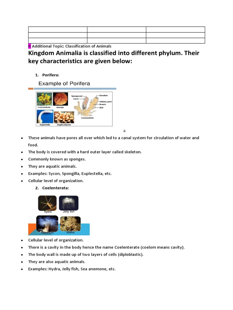 Classification of Animal Kingdom Phyla Characteristics | PDF | Reptile ...