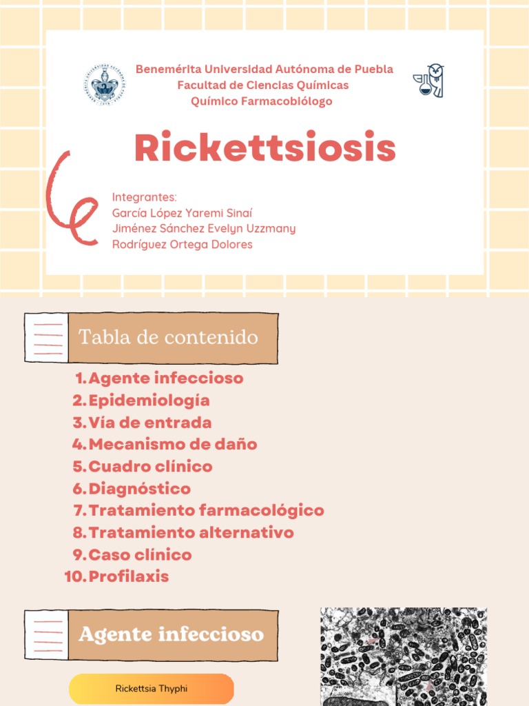 Rickettsiosis | PDF | Especialidades Medicas | Ciencias de la Salud