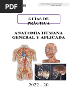 Términos de Lateralidad en Anatomía | PDF | Términos anatómicos de ...