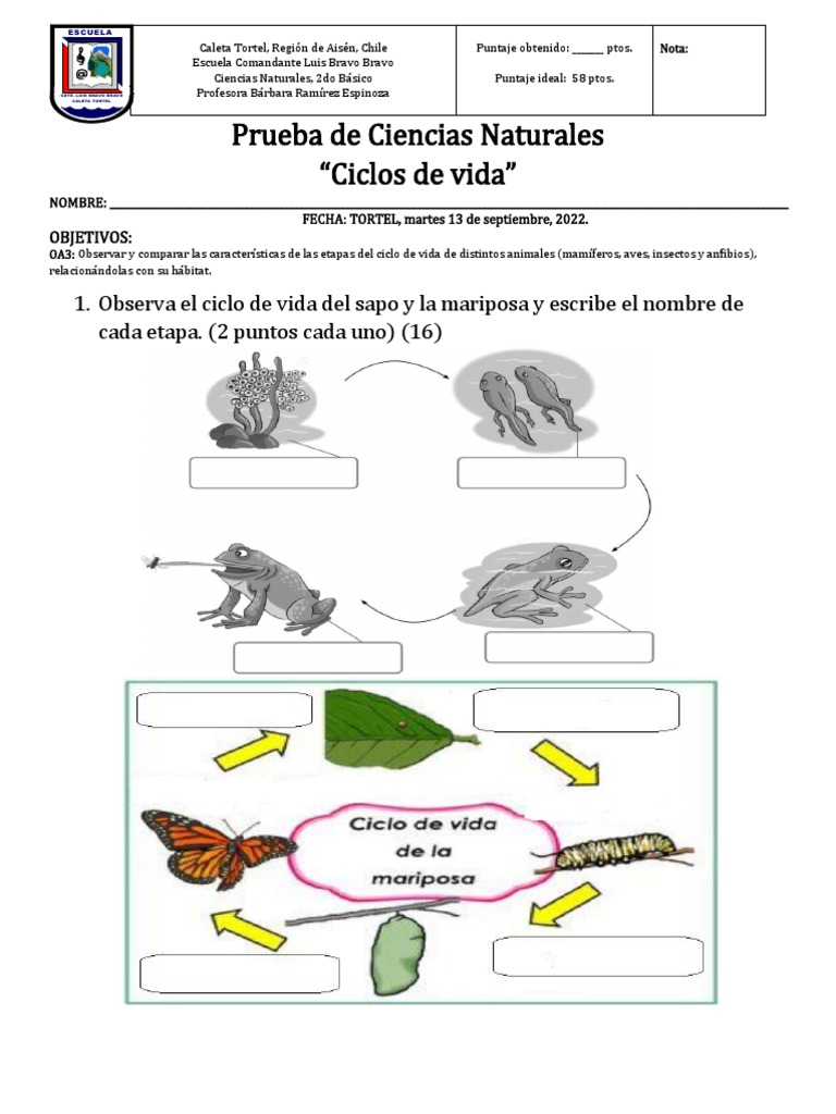 Ciclos de Vida | PDF