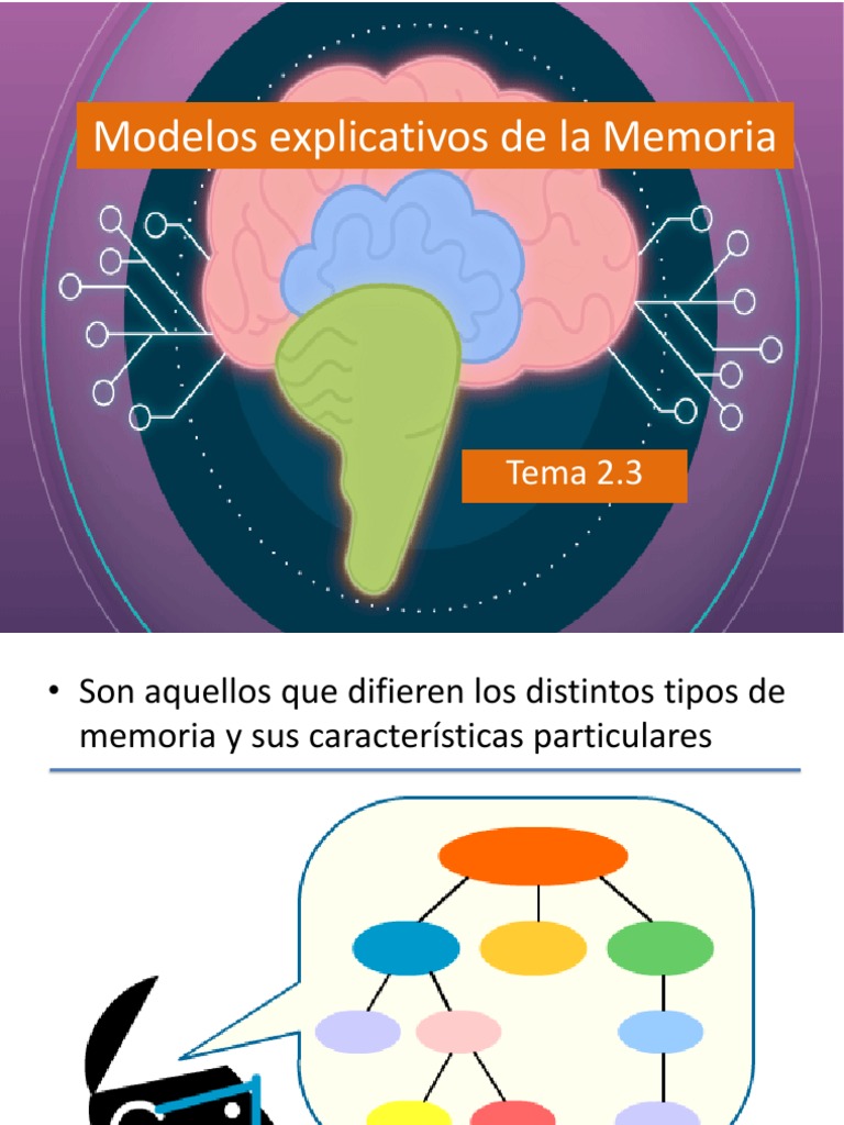 Tema 2.3 Modelos Explicativos de La Memoria | PDF