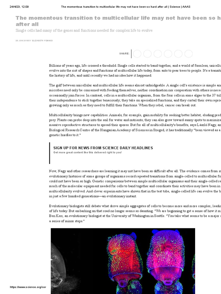 The Momentous Transition To Multicellular Life May Not Have Been So Hard After All - Science ...