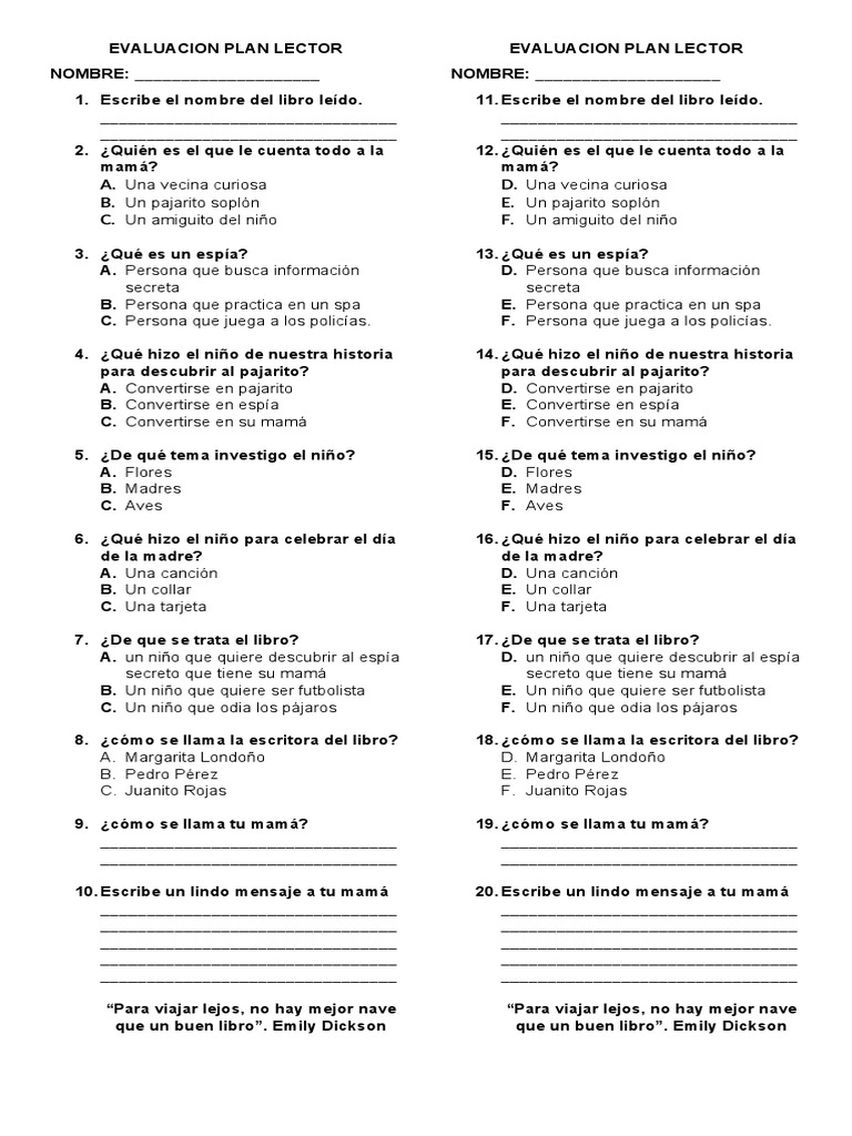 EVALUACION PLAN LECTOR Pajarito Soplon | PDF