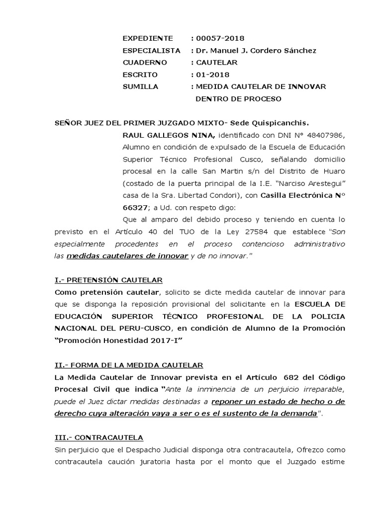 Medida Cautelar de Innovar en Proceso | PDF