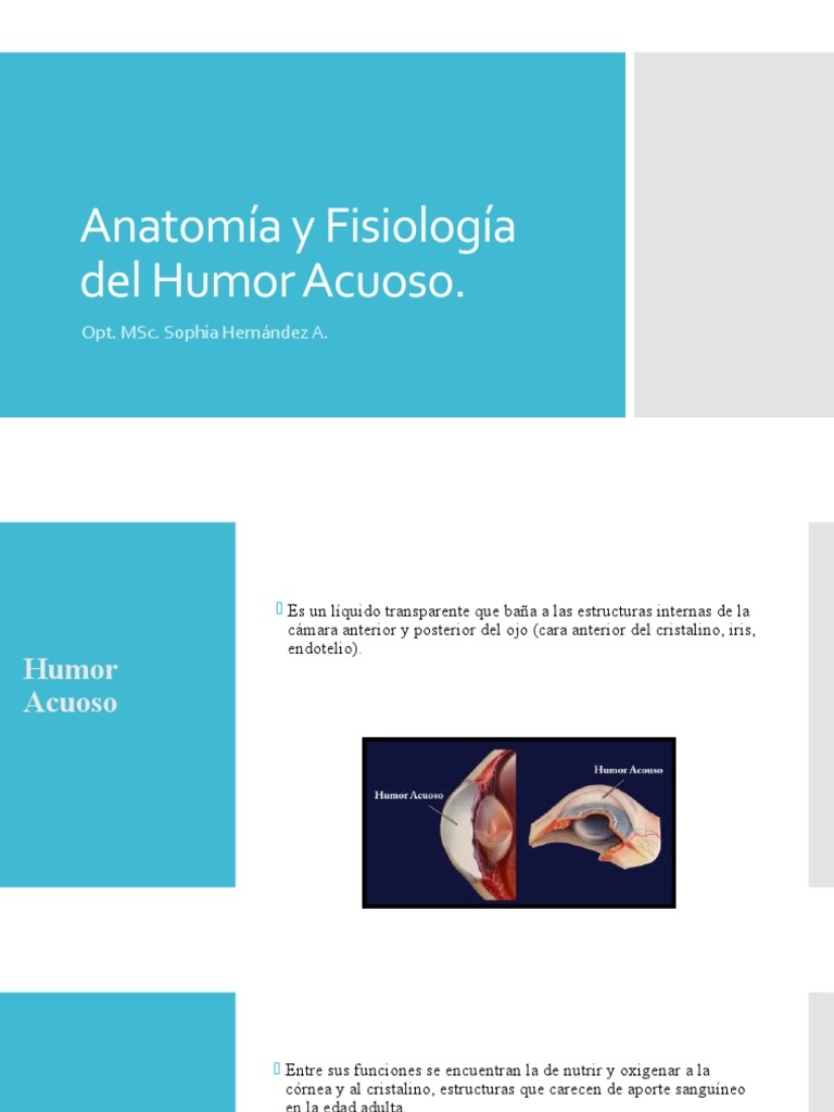 Óptica Visual. Anatomía Humor Acuoso y Humor Vítreo | PDF | Ojo humano ...