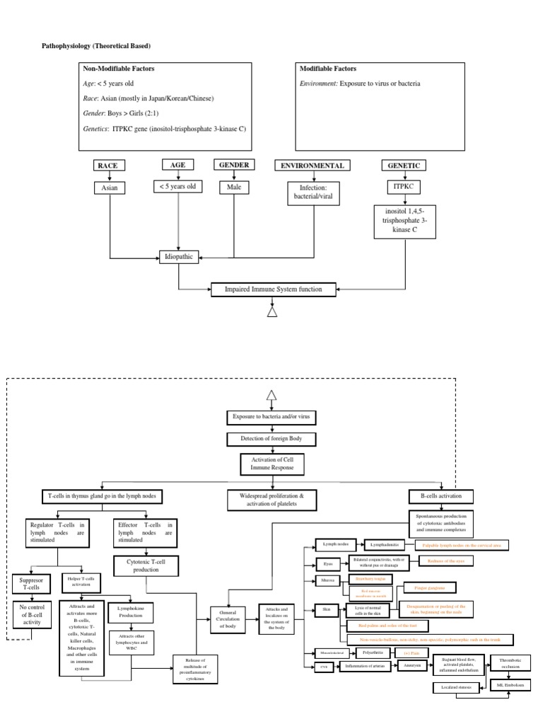Patho Physiology of Kawasaki Disease