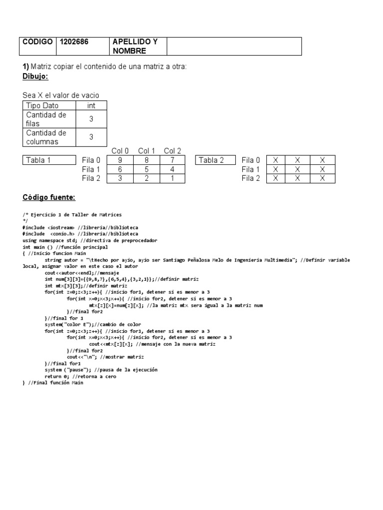 Taller C++ Matrices | PDF | Matriz (Matemáticas) | C