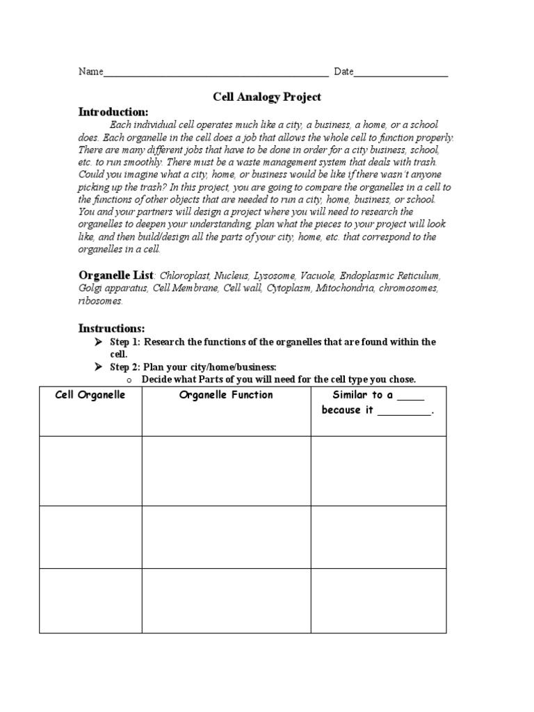 Cell Analogy Project | PDF | Organelle | Cell (Biology)