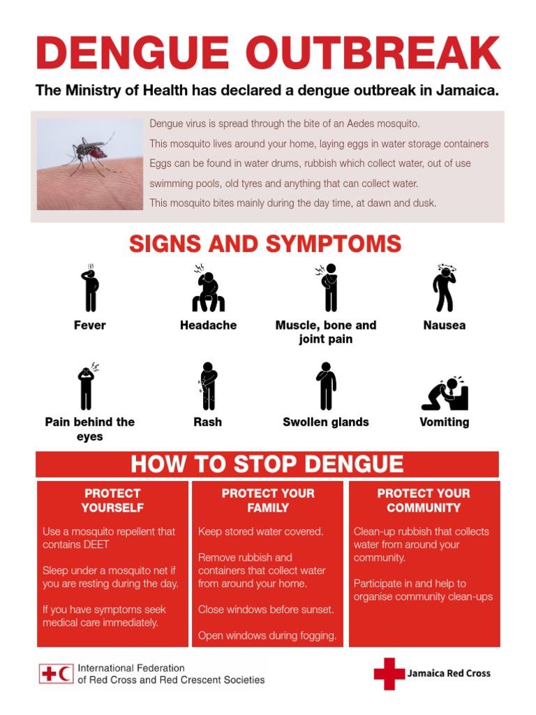 Dengue Outbreak Prevention Guide | PDF | Wellness