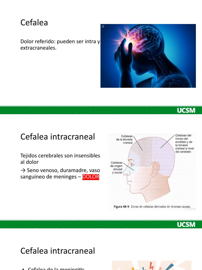 Tipos de Cefalea y Enfermedades Cerebrovasculares | PDF | Deportes y ...
