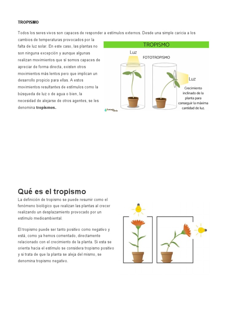 Tipos y Definición de Tropismos | PDF | Plantas | Naturaleza