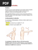 Ejercicios Codman | PDF | Hombro | Articulaciones