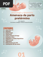 Formula Obstetrica | PDF | Bienestar