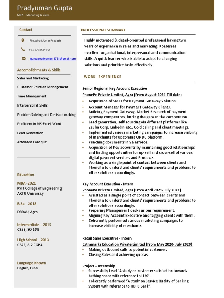 CV Pradyuman - IJP | Download Free PDF | Sales | Marketing