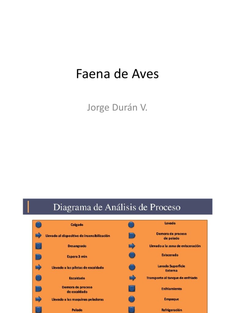 Faena de Aves | PDF | Agua | Aves