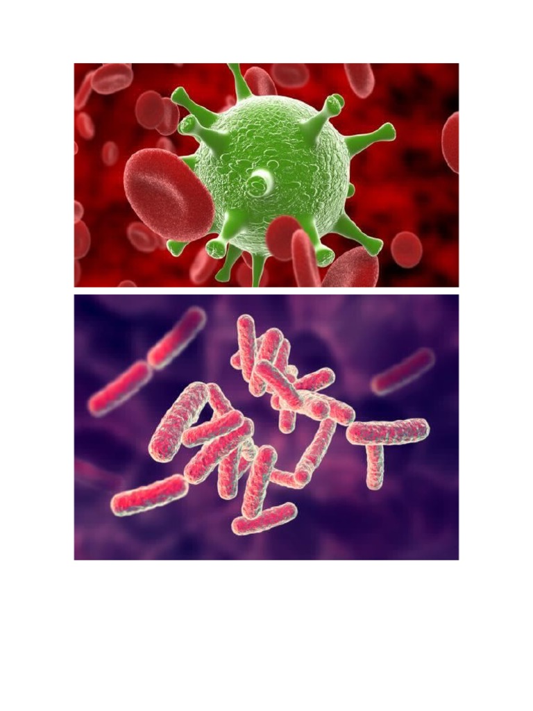 Doc2.docx Fotos | PDF