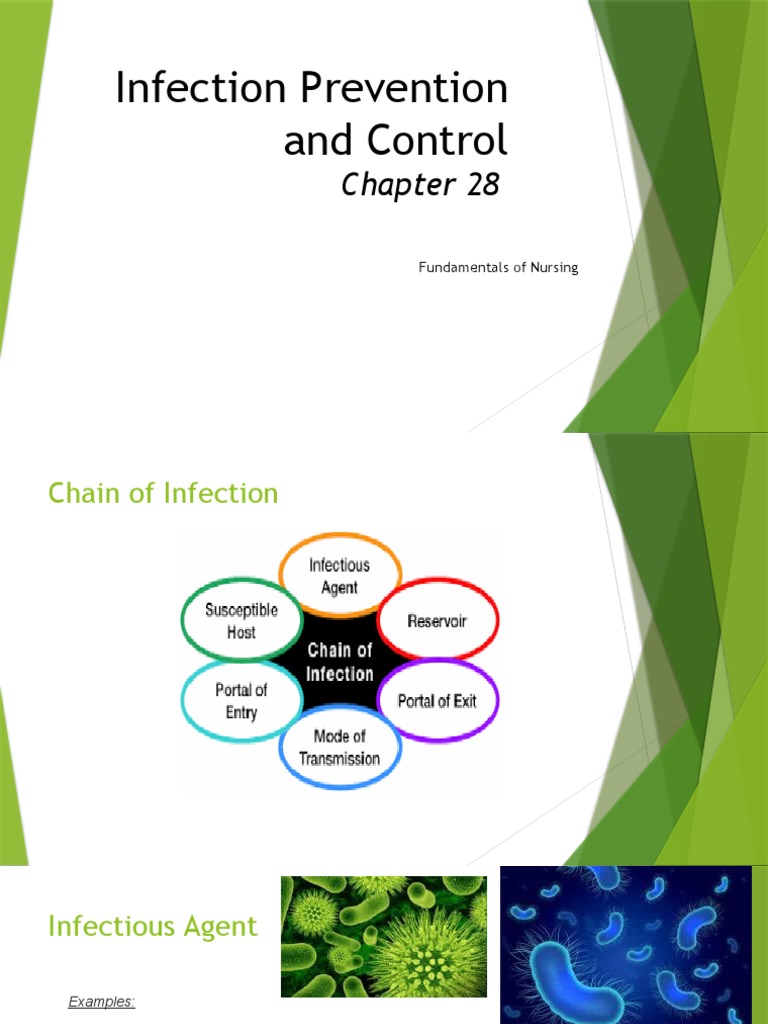 Infection Prevention and Control: Fundamentals of Nursing | PDF ...