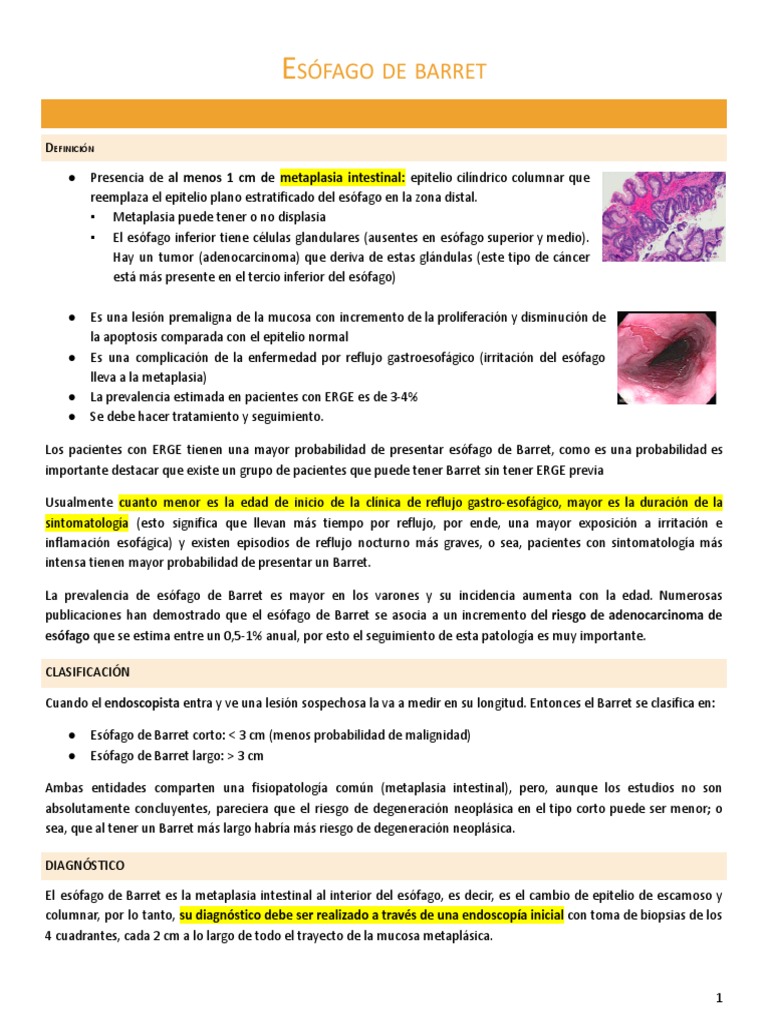 Esófago de Barret | PDF
