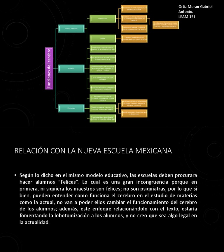 Mapa Funciones Del Cerebro | PDF | Las emociones | Memoria