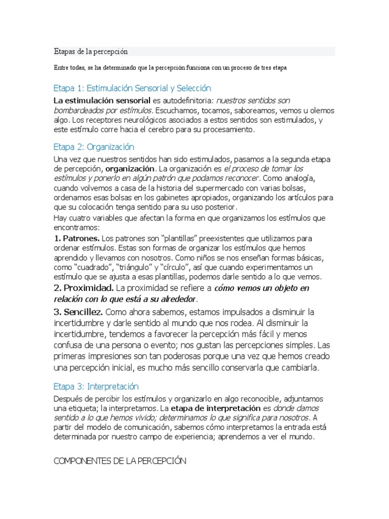 Etapas de La Percepción y Sus Componentes | PDF | Percepción | Experiencia