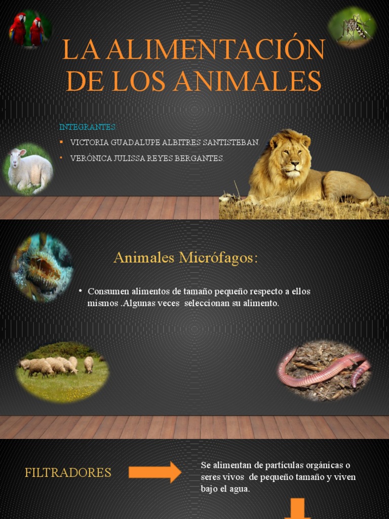 La Alimentcion de Los Animales | PDF