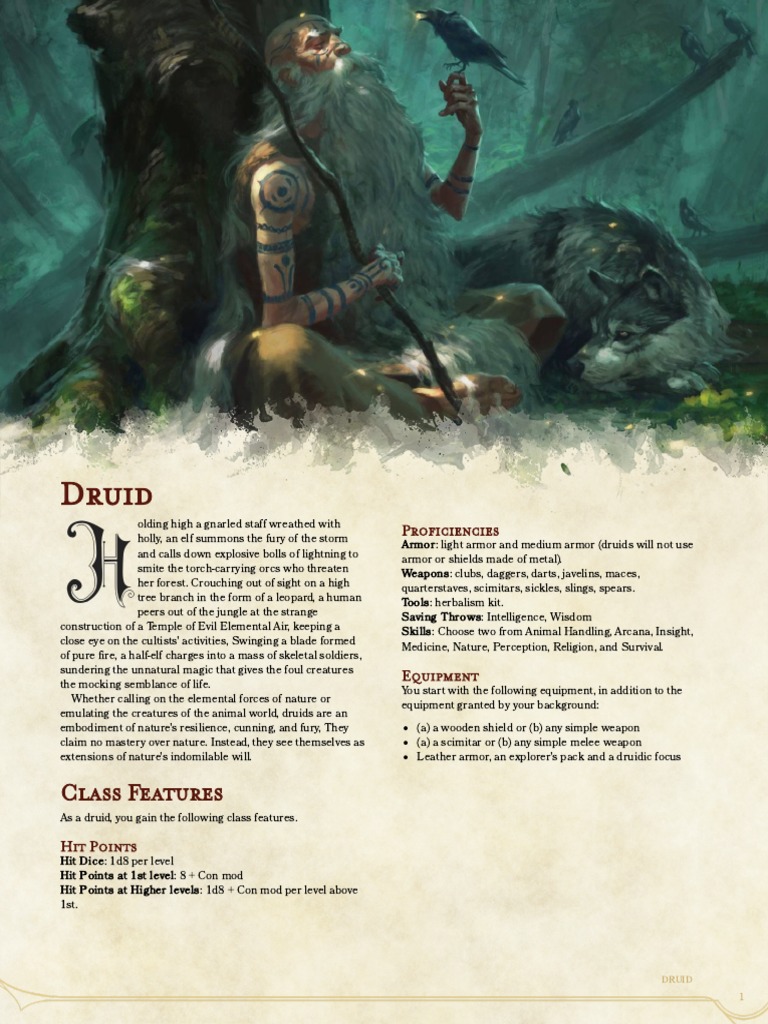 TDC Druid 5e | PDF