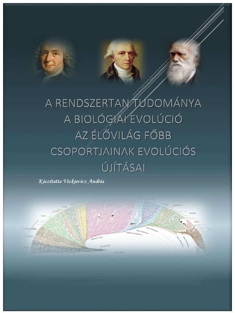 A Rendszertan Alapjai | PDF