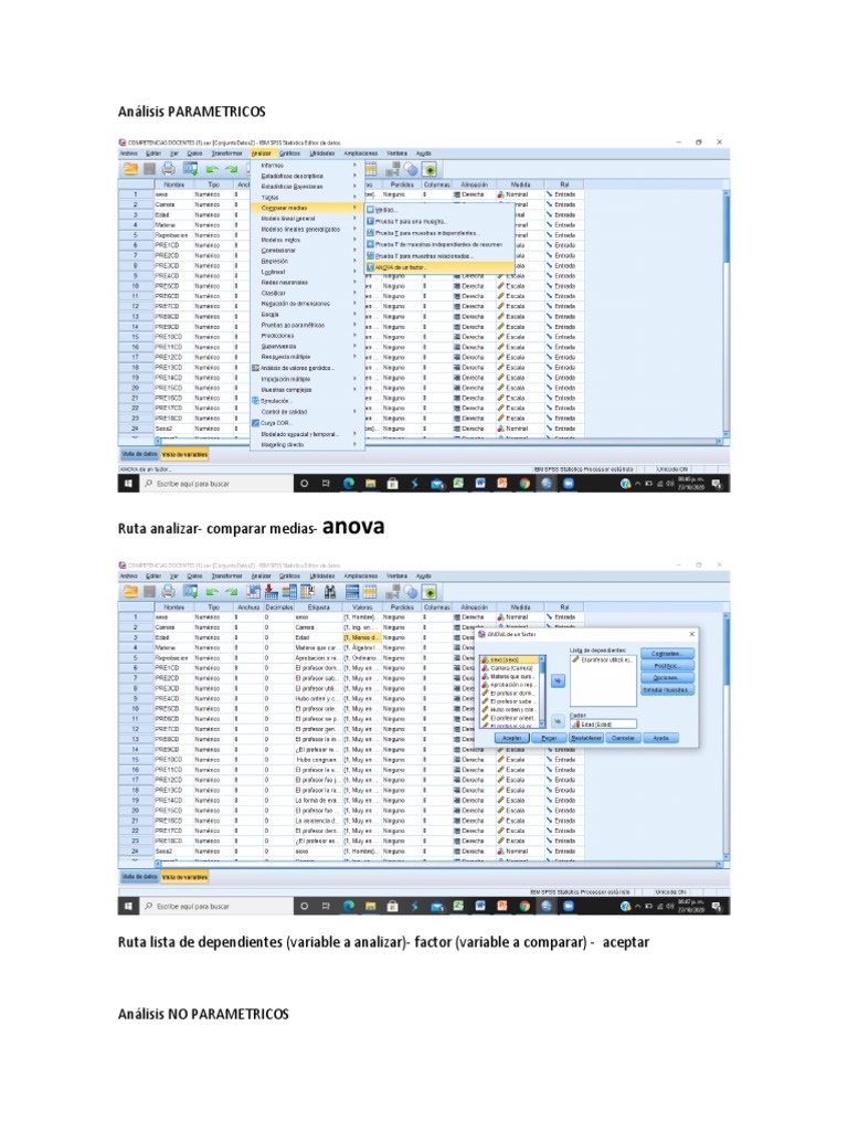 Análisis PARAMETRICOS | PDF