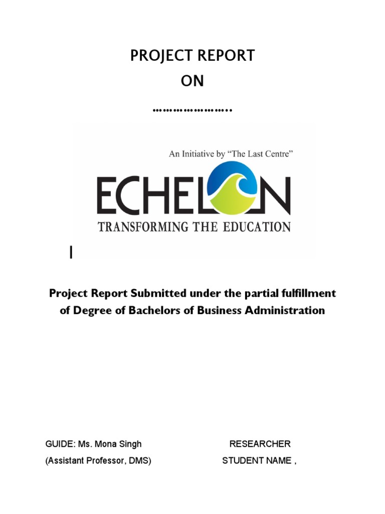 Project Format BBA 4th | PDF