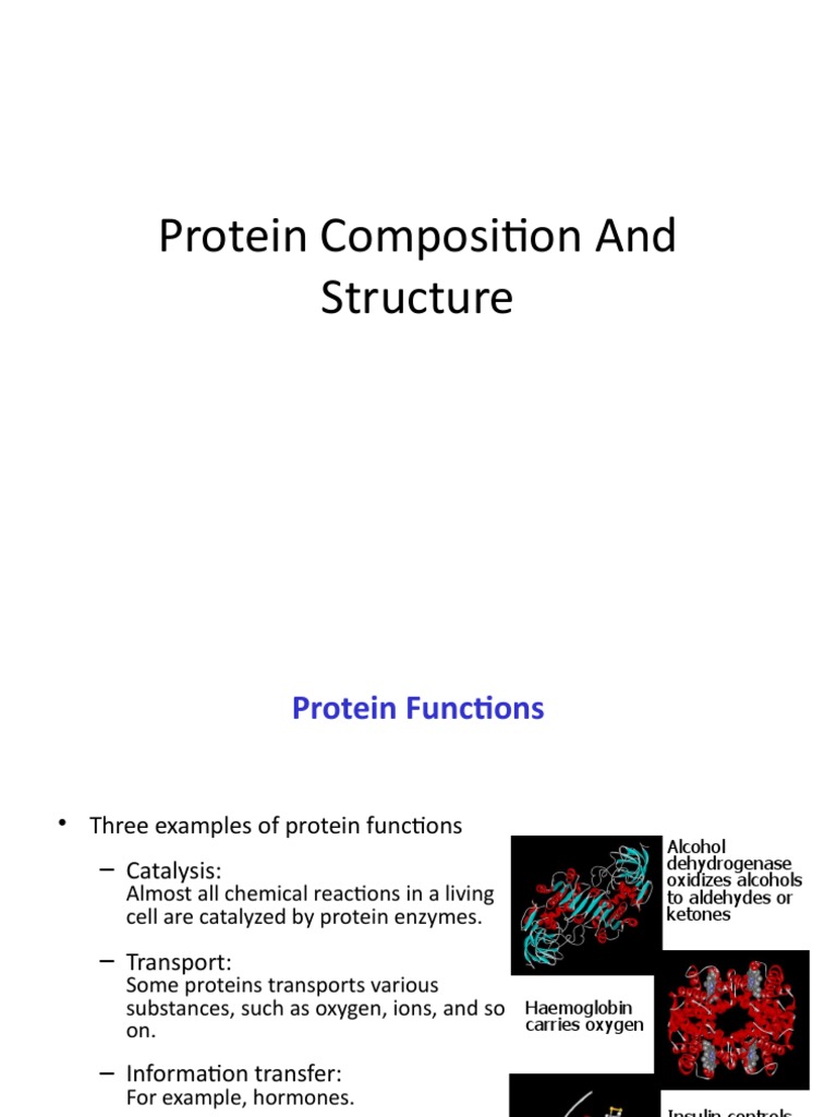 Protein Composition and Structure | PDF