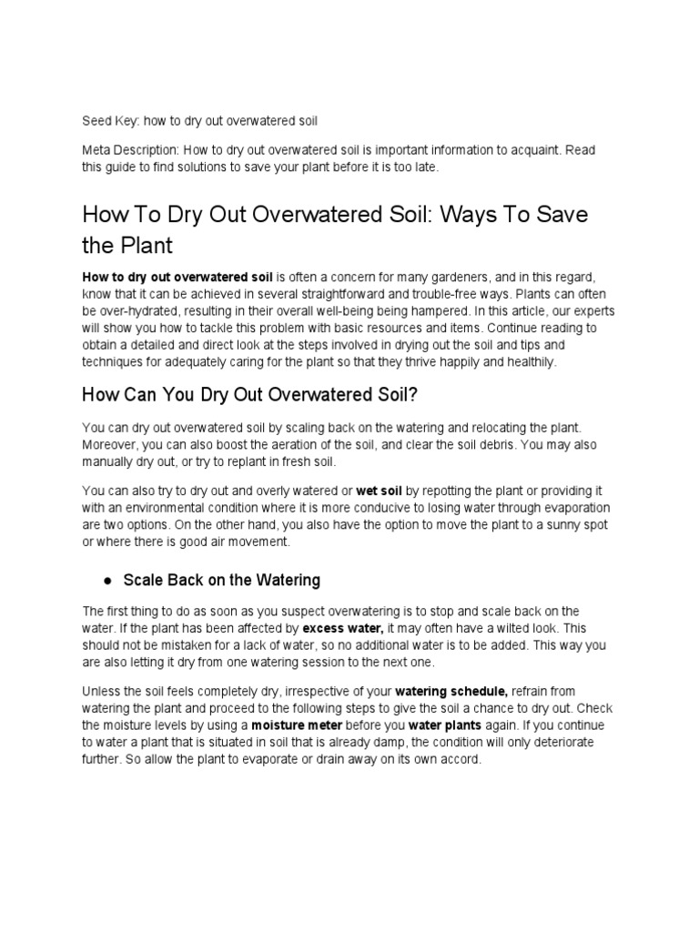 How To Dry Out Overwatered Soil | PDF | Home & Garden