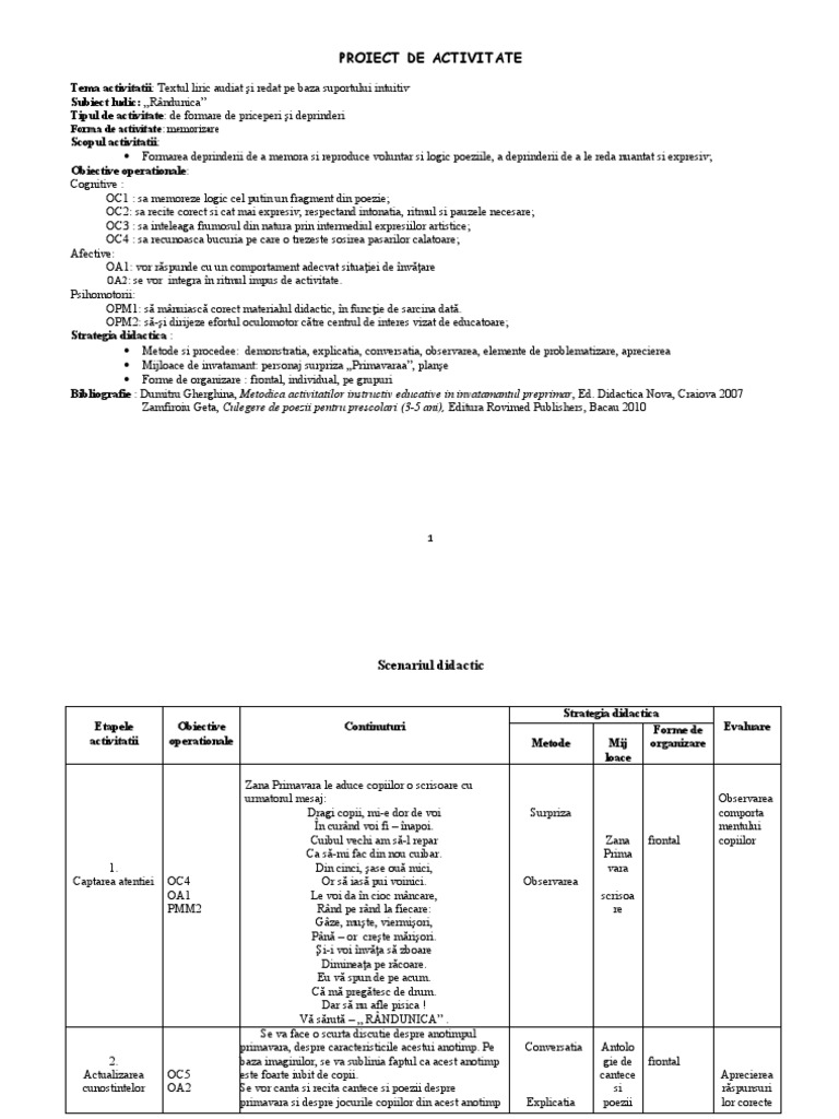 Proiect Memorizare | PDF