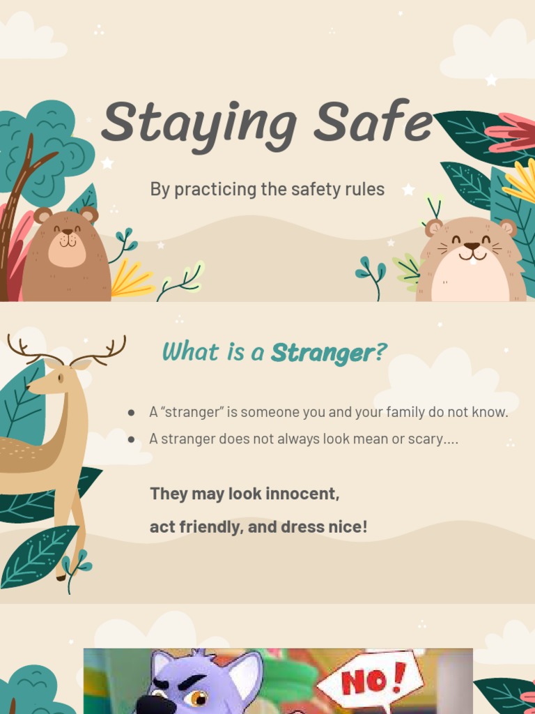 Staying Safe-Primary Grades | PDF | Internet