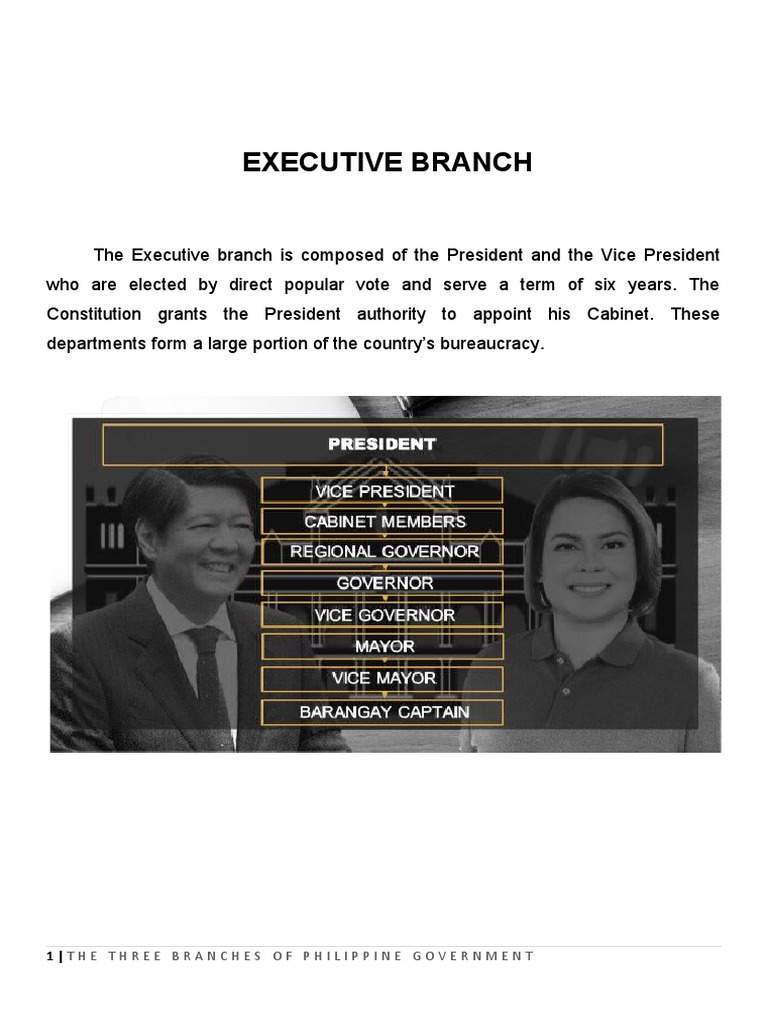 Branches of Government | PDF