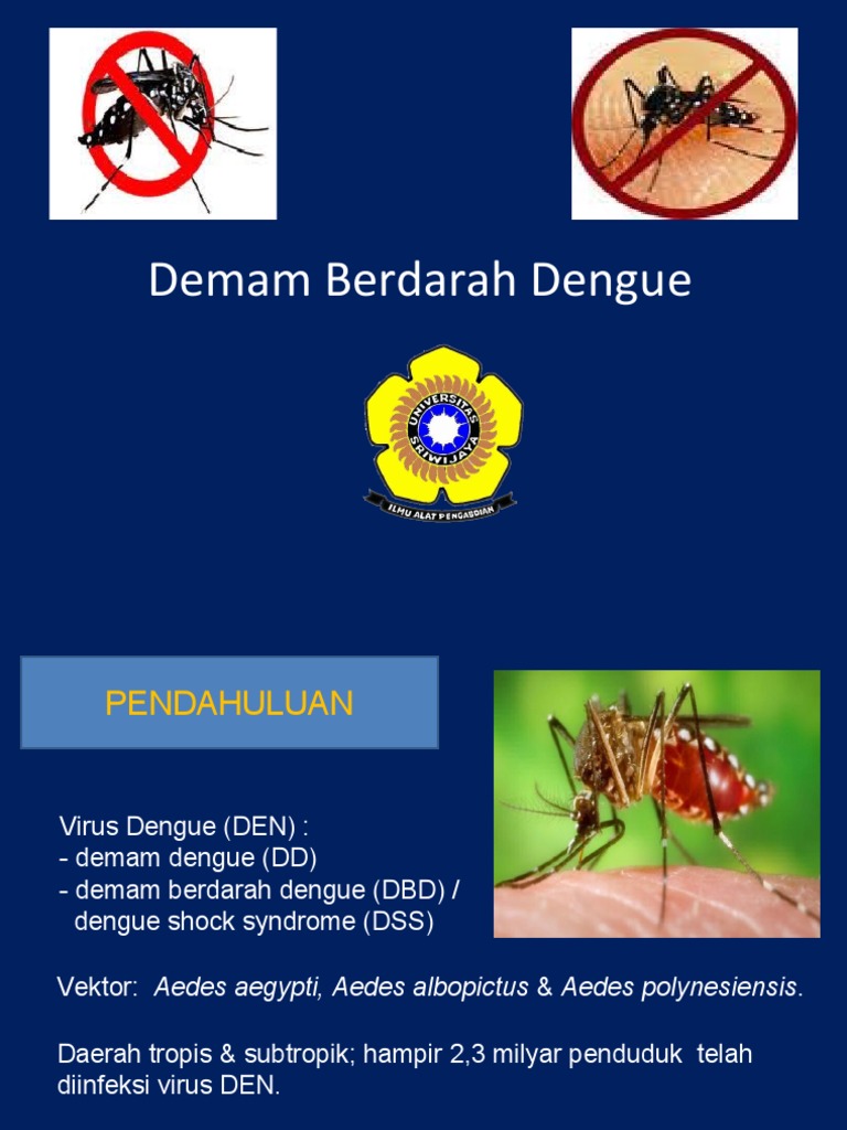 Demam Berdarah Dengue | PDF