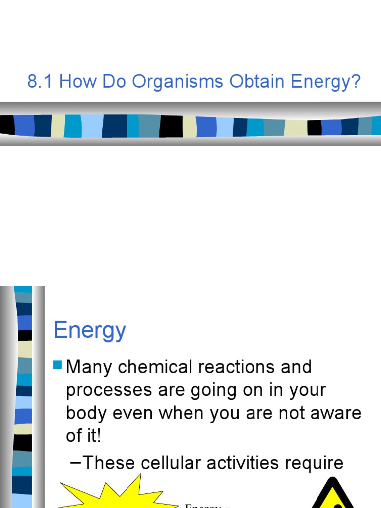 8.1 How Do Organisms Obtain Energy? | PDF | Home & Garden | Science ...