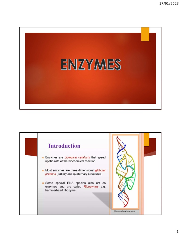 Enzymes | PDF