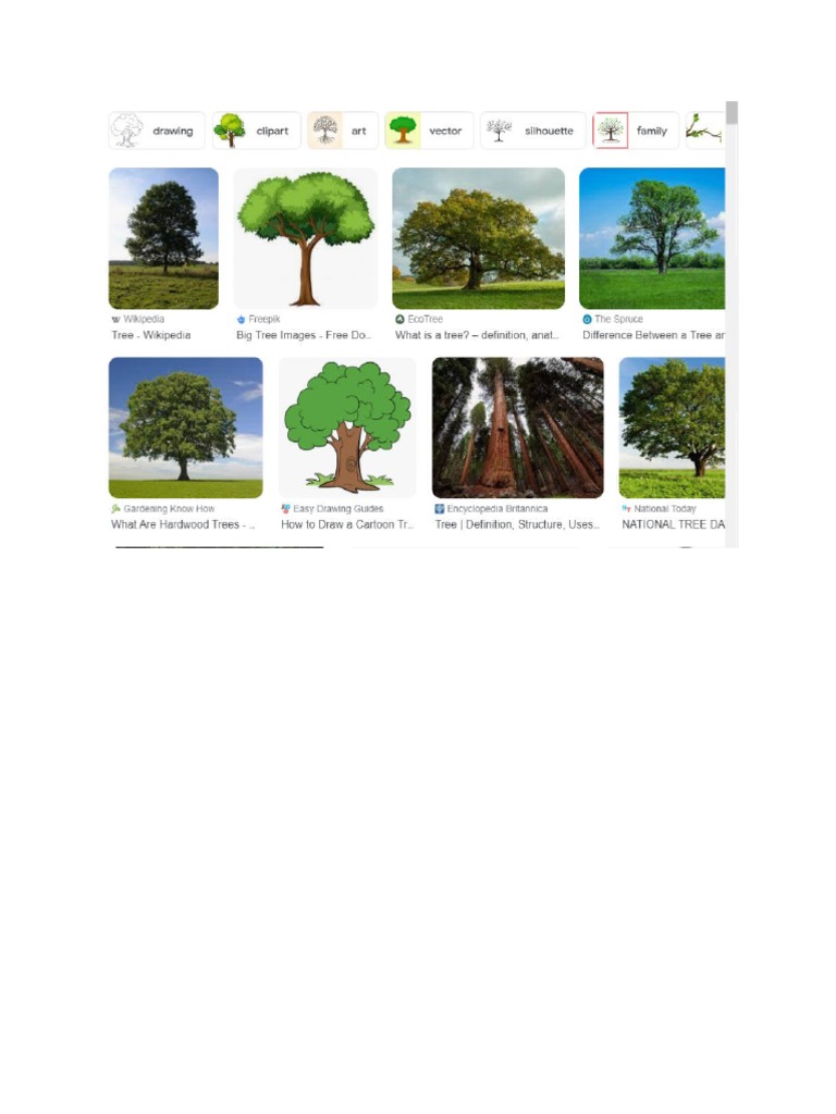 Tree | PDF
