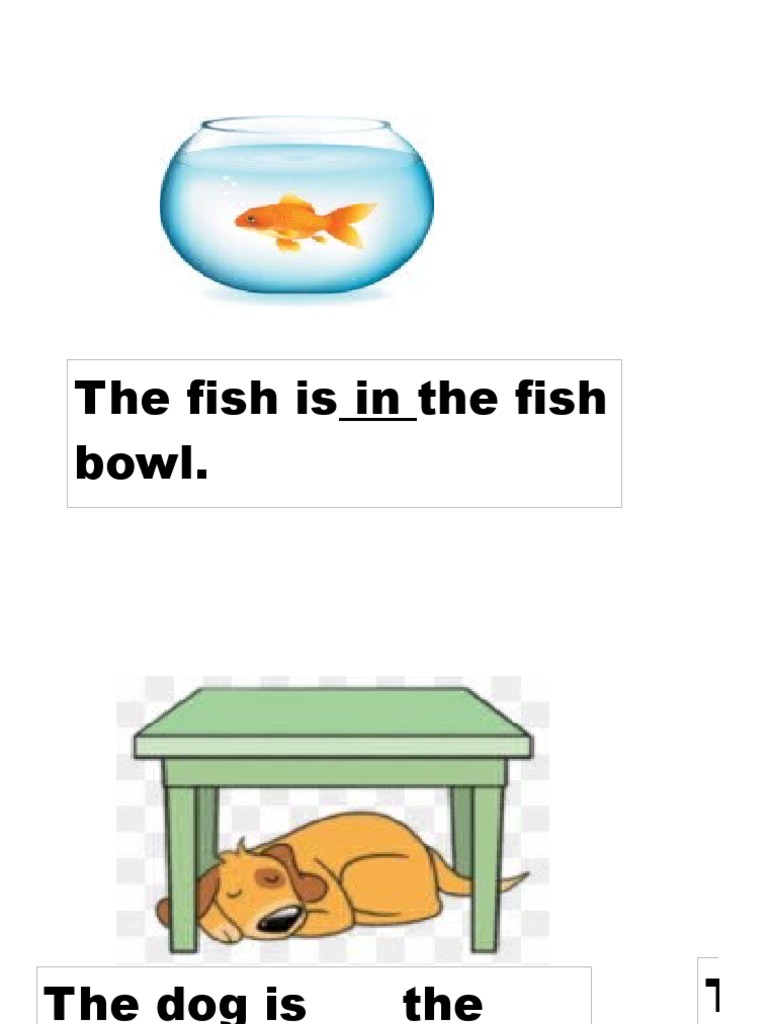 The Fish Is in The Fish Bowl | PDF