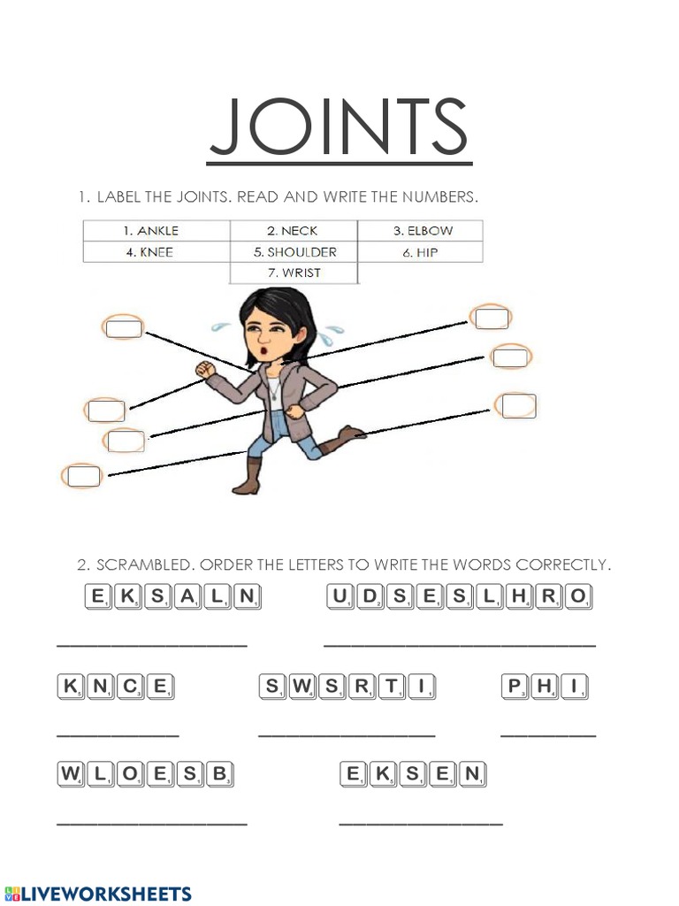 Joints | PDF