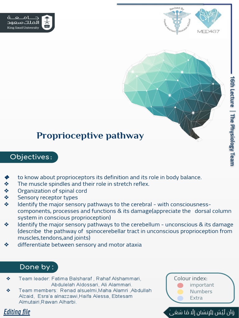 Proprioceptive Pathway: Objectives | Download Free PDF | Stimulus ...