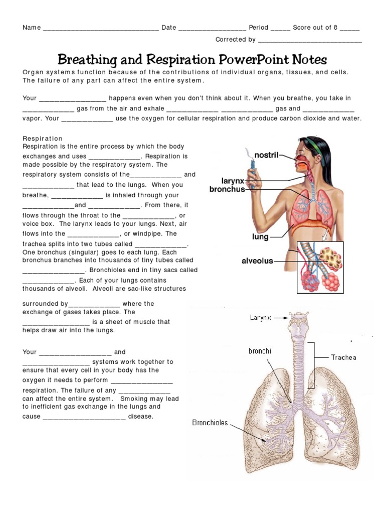 Breathing Notes Pdf