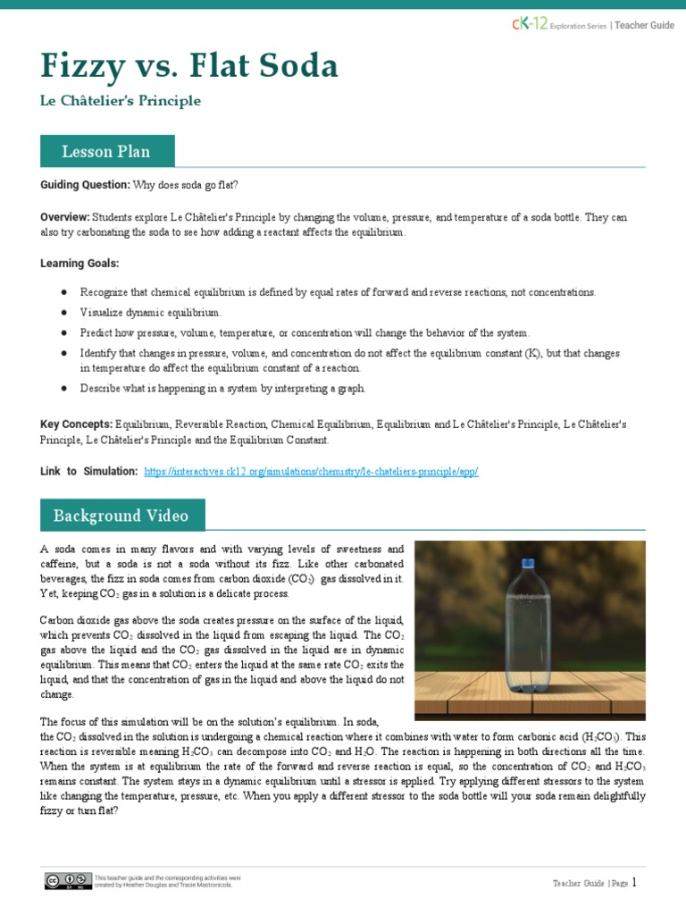 16 - Flat vs. Fizzy Soda Complete | PDF