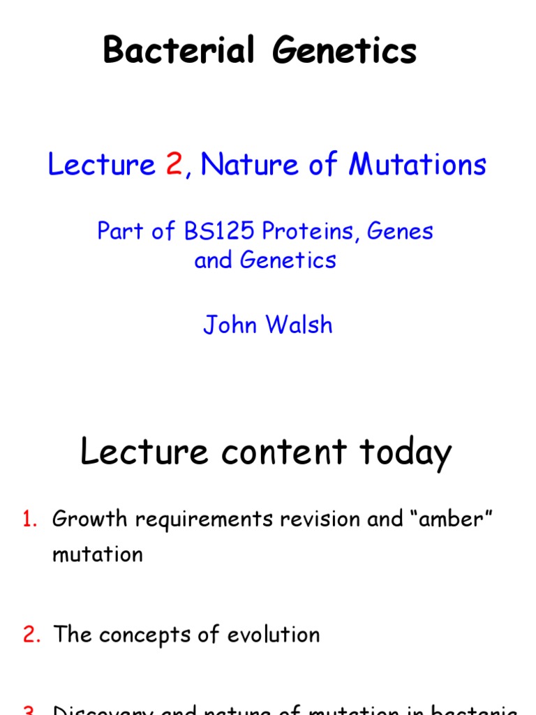 Nature of Mutations Slides | PDF | Genetic Code | Biology
