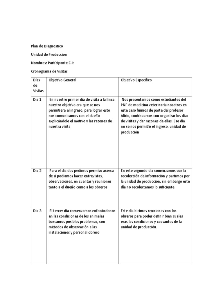 Plan de Diagnostico | PDF
