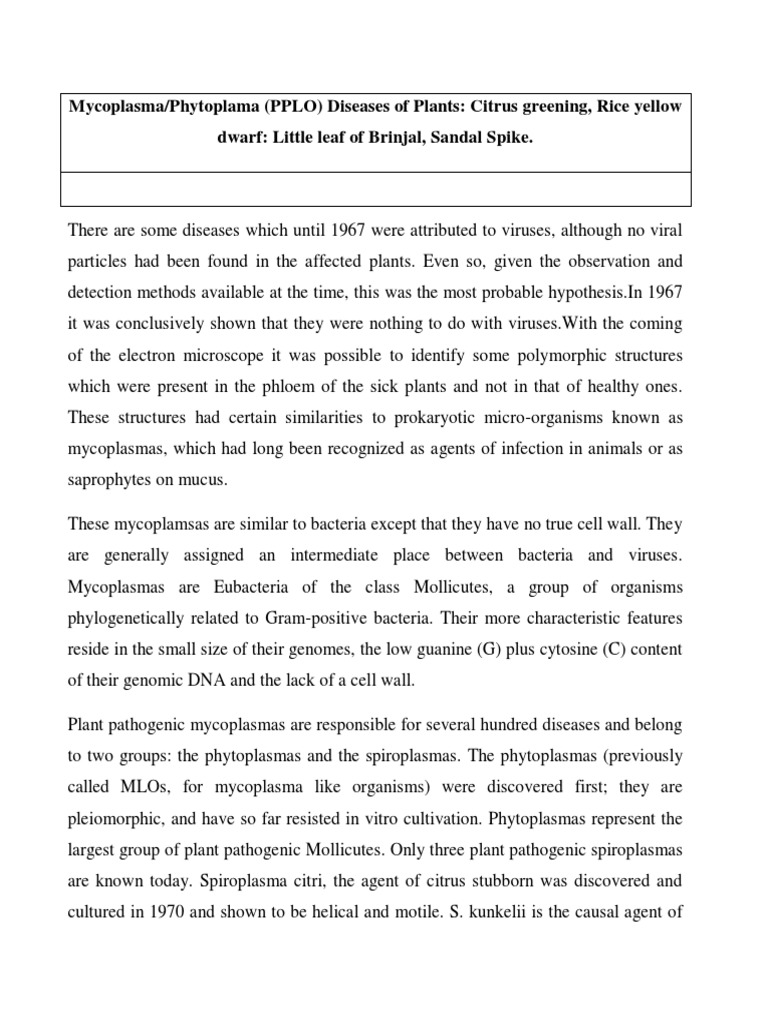 Mycoplasma/Phytoplama (PPLO) Diseases of Plants: Citrus Greening, Rice ...