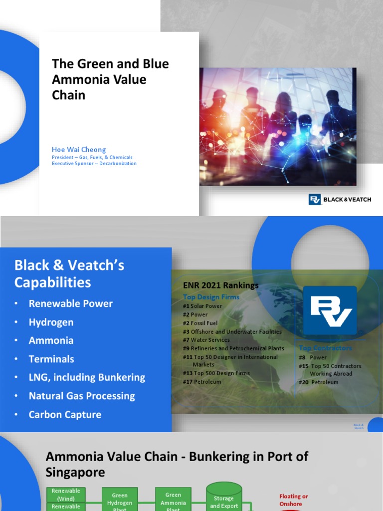Green Blue Ammonia Value Chain | PDF | Renewable Energy | Natural Gas
