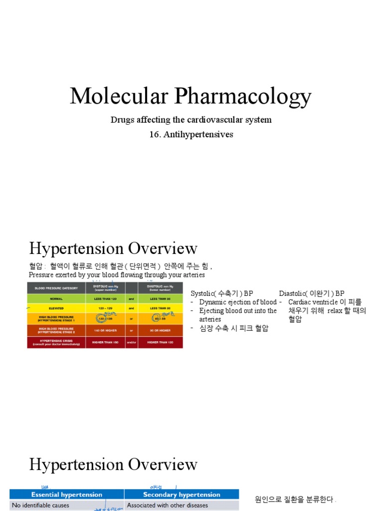 Antihypertension | PDF | Angiotensin | Physiology