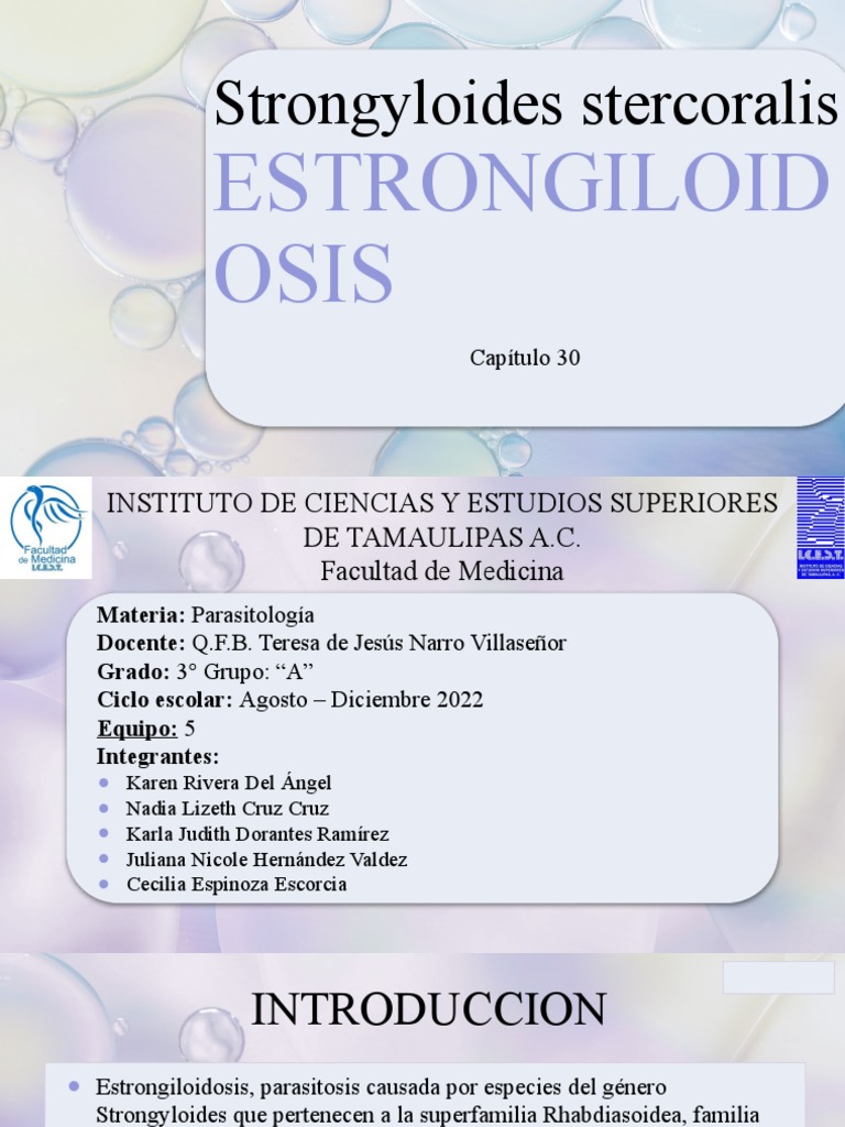 Estrongiloidosis-Equipo 5 | PDF | Sistema reproductivo | Enfermedades y ...